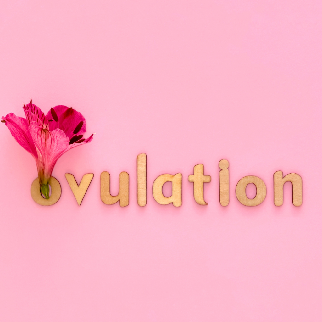 The Ovulatory Phase: How to Support your Body – Kiko Vitals